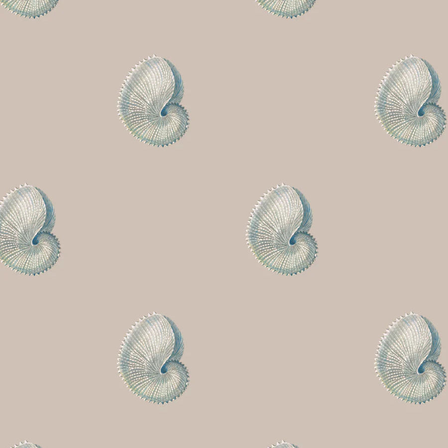 Argonaut Shell Wallpaper – The Lot Showroom