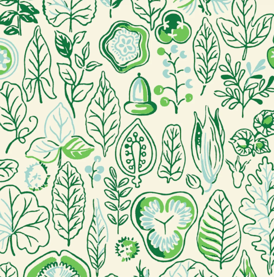 Botany Wallpaper – The Lot Showroom