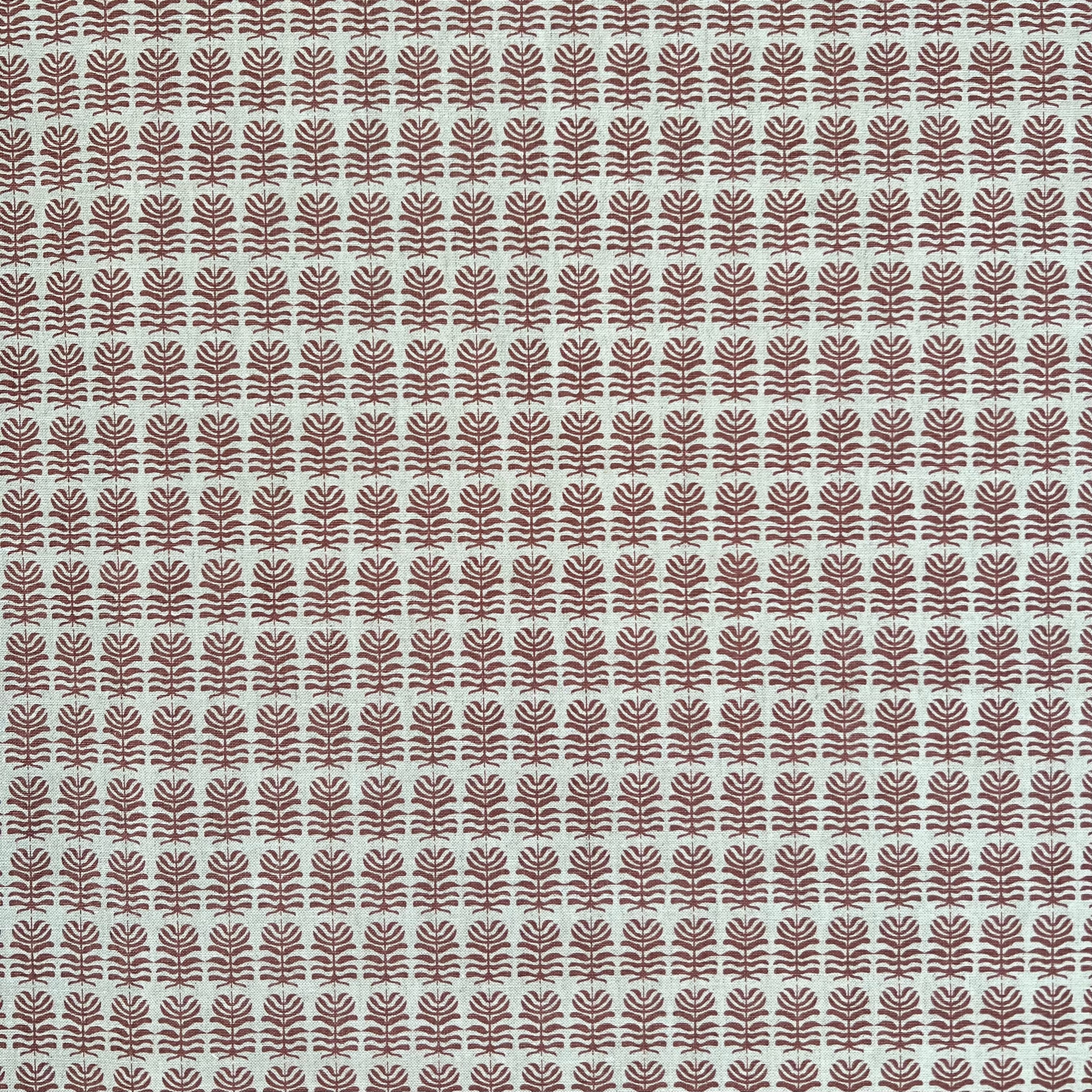 Clara – The Lot Showroom